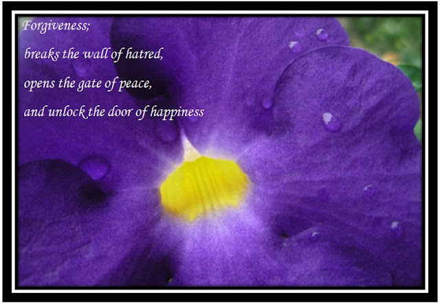 Photos with quotes: Photos and quotes of Peace and Happiness