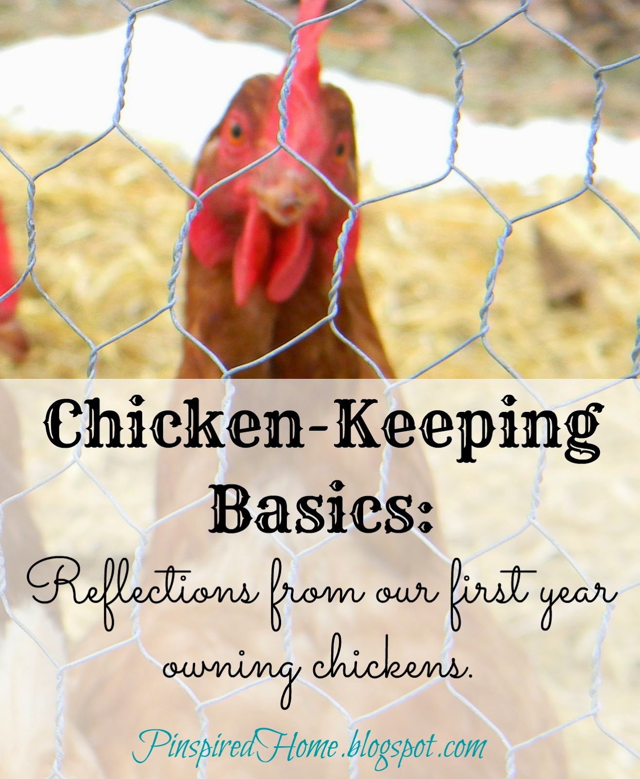 March 19 Poultry Day