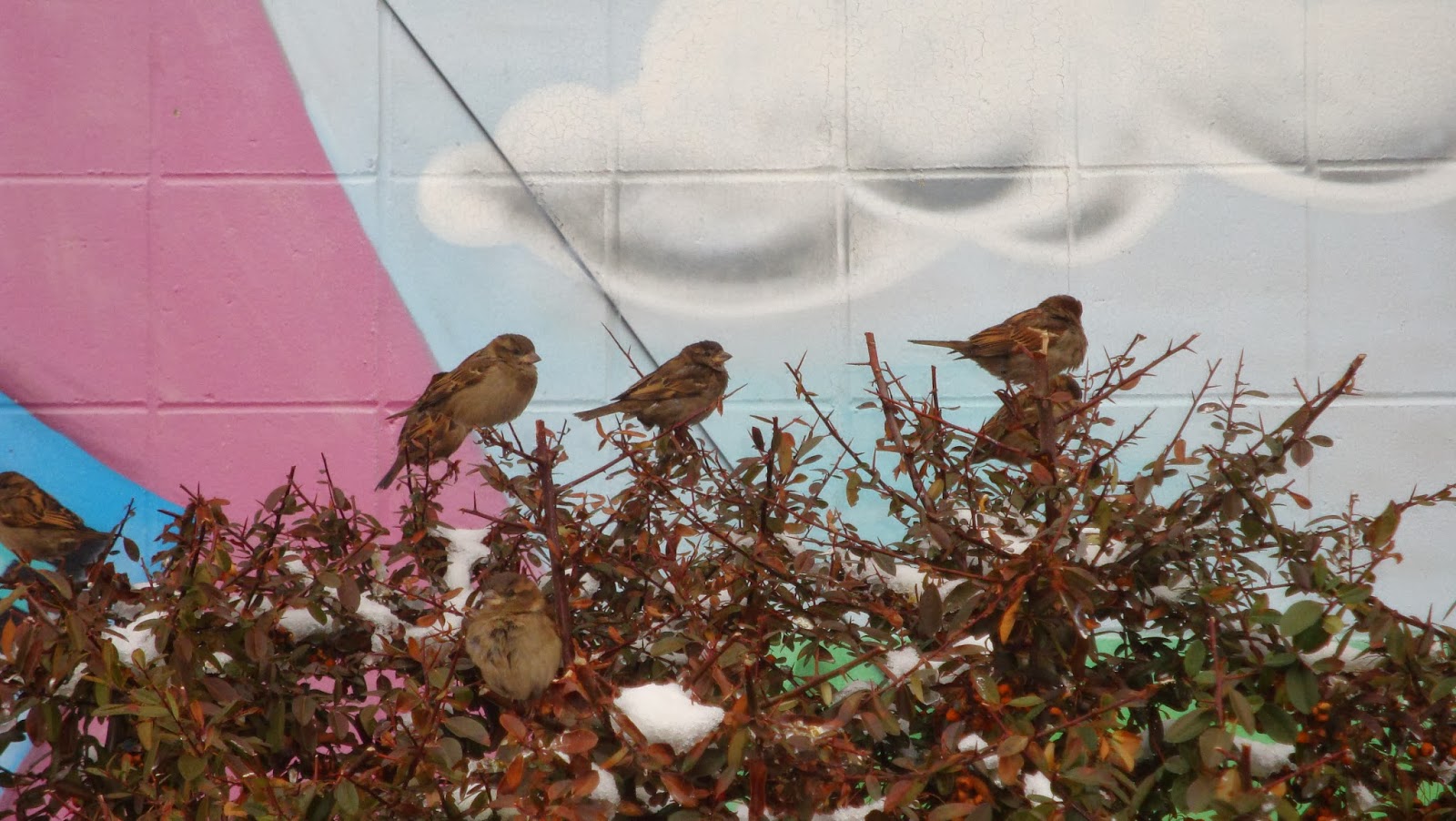 Man-Li Kuo Lin 郭曼麗 網誌第二集 The Years 2014-2015: 2014-02-18 與牧師開會 Meeting ...