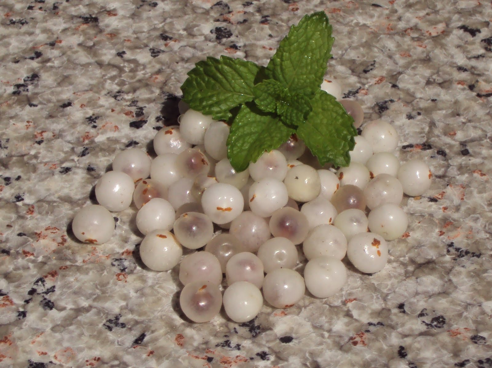 Nárwen's Cuisine - Sabores do Mundo : Ice Tea de Camarinhas e Hortelã ...