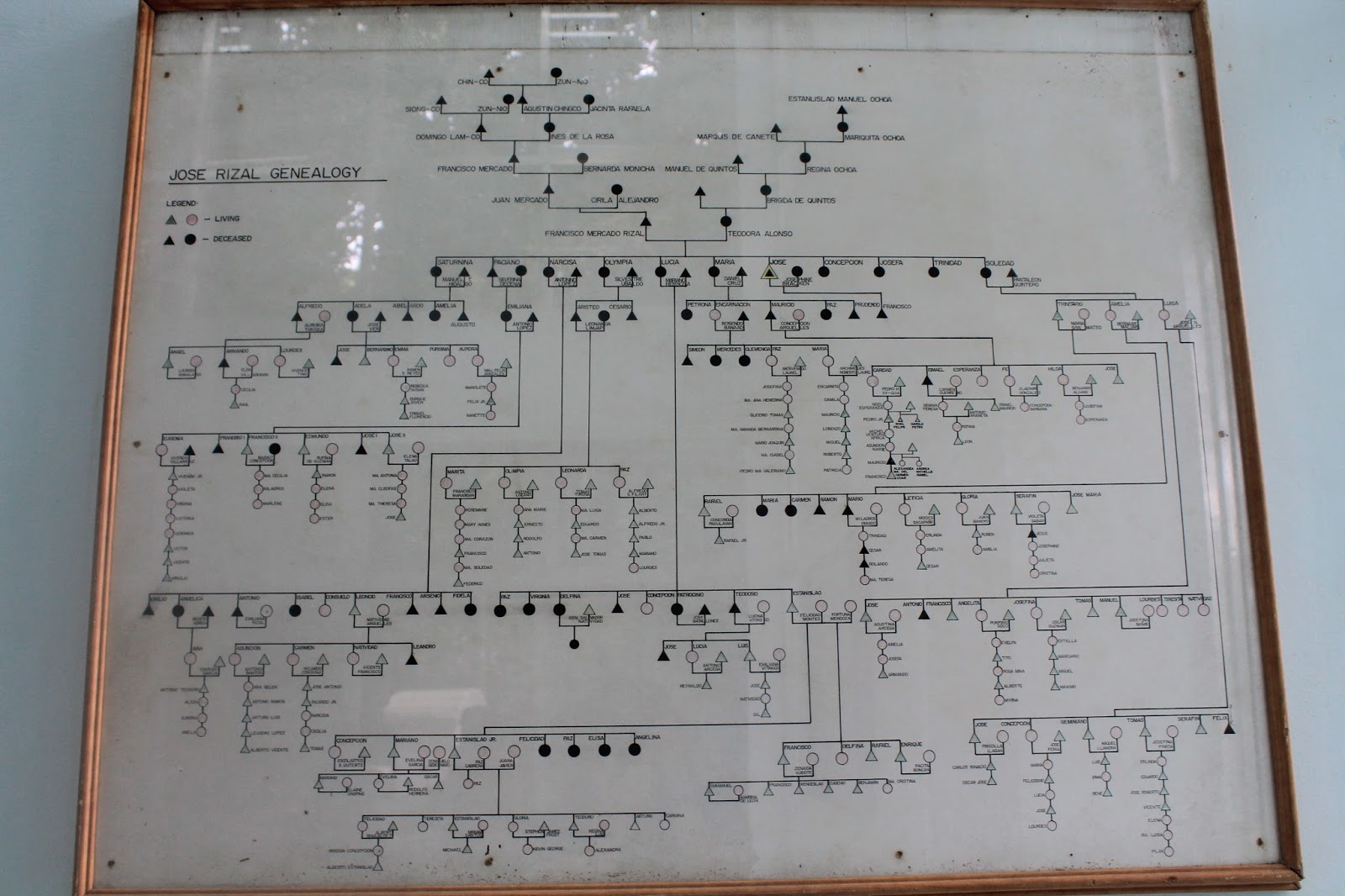 family tree of jose rizal - philippin news collections