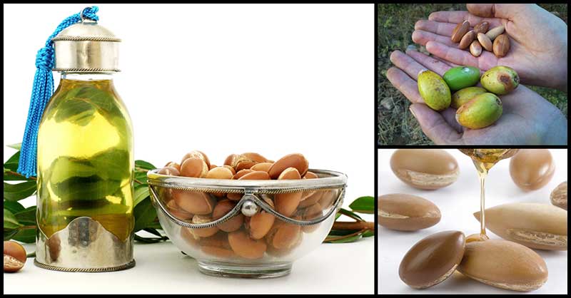 Health Benefits You Can Get From Argan Oil | Dr Farrah MD