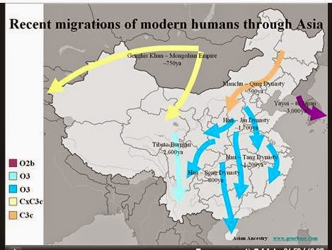 chinese origins from genetic point of view