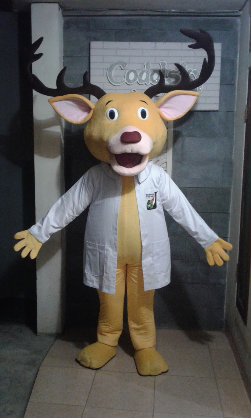 Badut Maskot, Baju Karakter, Kostum Promosi, dan boneka yang dipakai orang