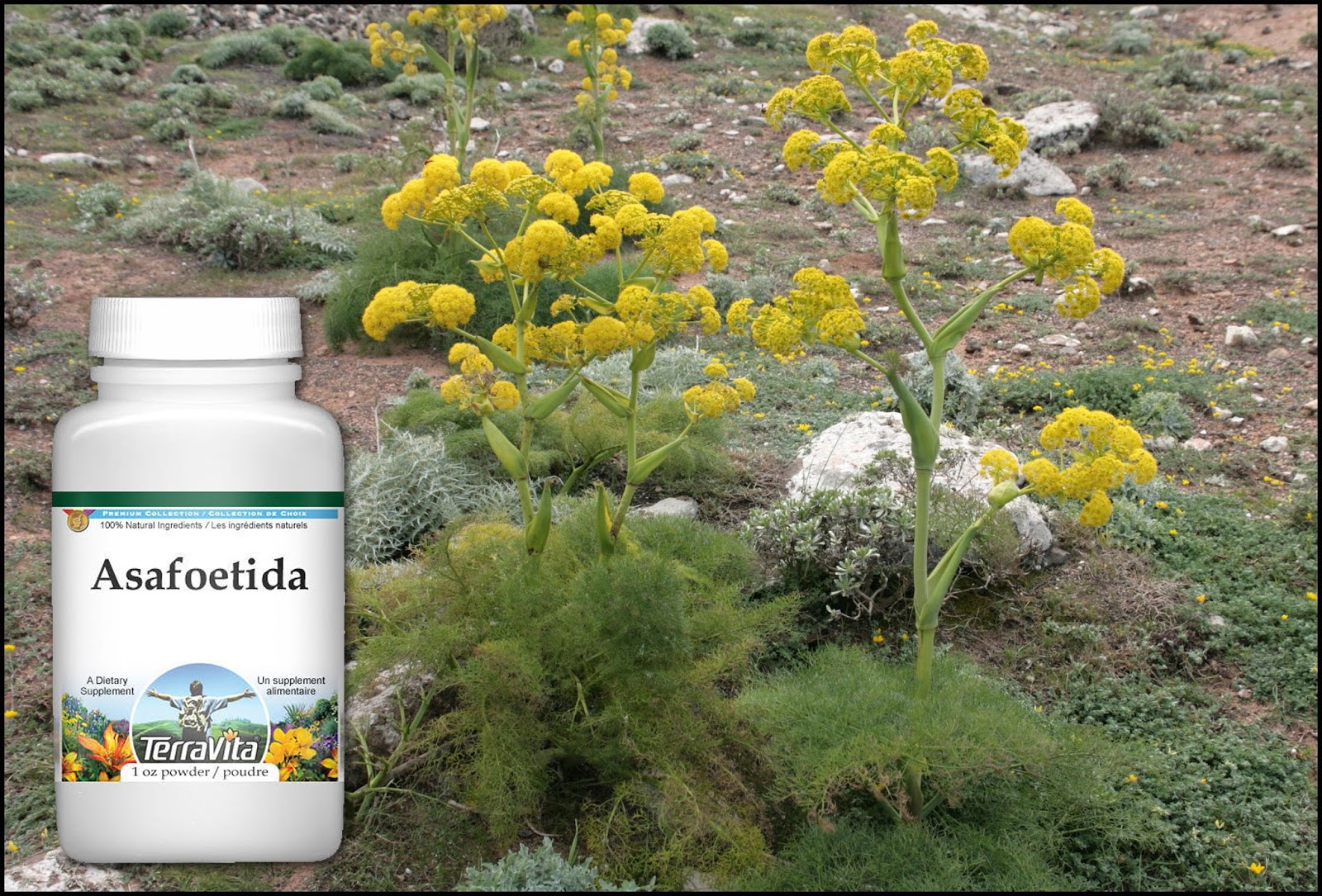 numisarchives: Imágenes de especies extinguidas en la moneda griega: El ...