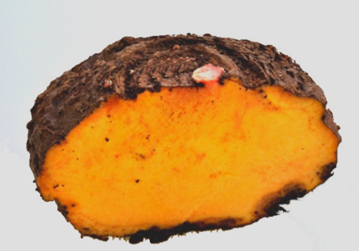 Su's Recipes: Kandagadda Vepudu - Elephant Yam Stir Fry