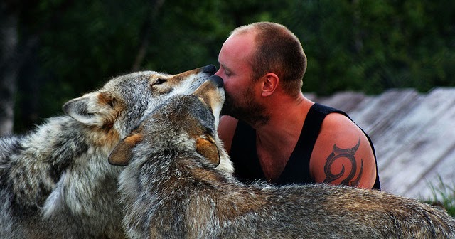 White Wolf : 15 Most Amazing Pictures of Wolf - Human Interaction