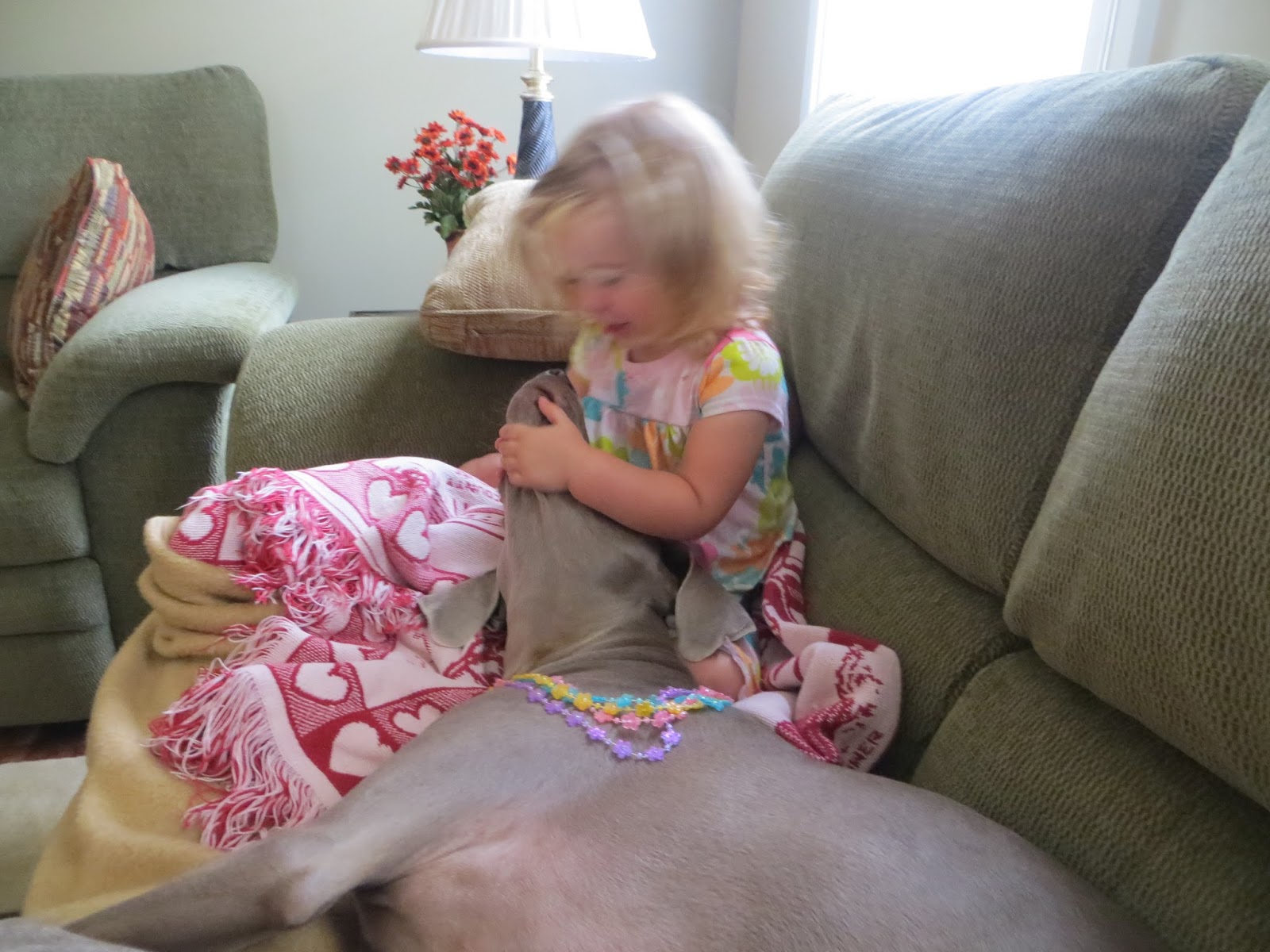 jillgoes: Canoodling on the Couch