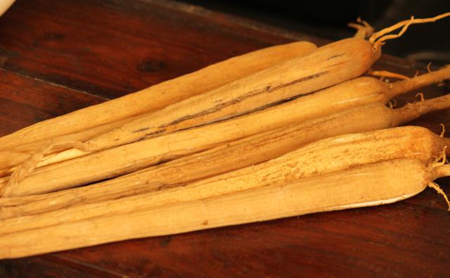 Everything in telugu: fruits names in telugu