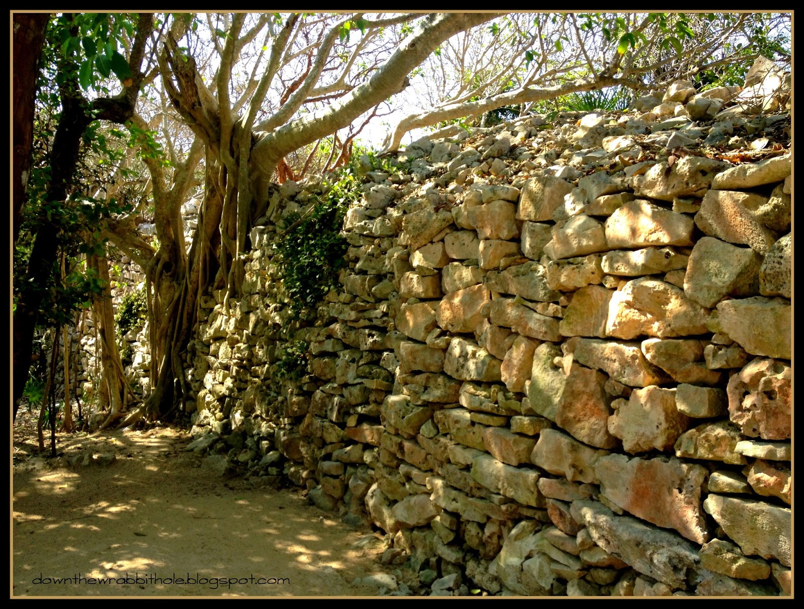 Down the Wrabbit Hole - The Travel Bucket List: Trekking Through Tulum ...