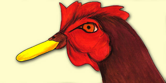 Dorian Koçi: Gjysma-gjeli i Vitit të Ri