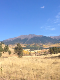 Exploring Northern Arizona: Driving Through Hart Prairie