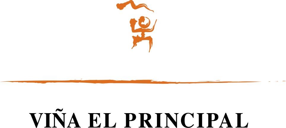 Vinhos & Vinhos: Degustação com a Vinicola El Principal.