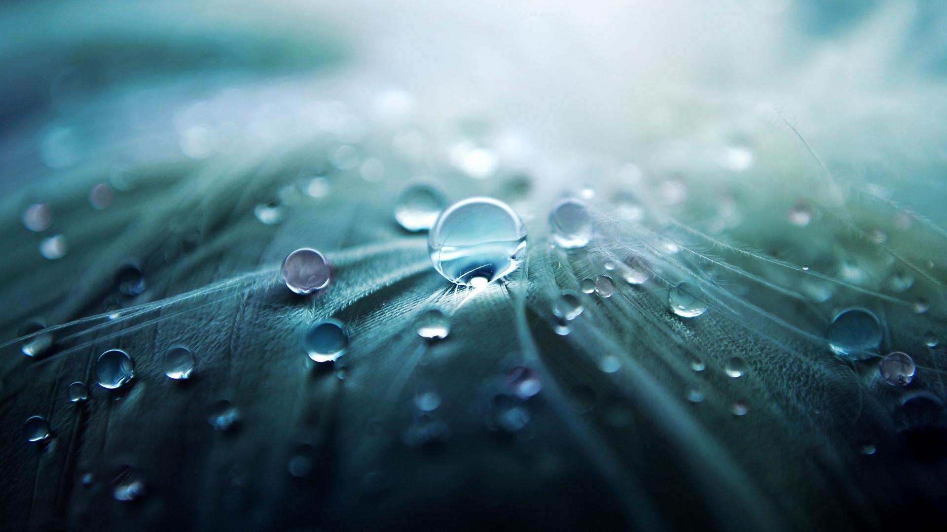 Mag HD Wallpapers: Amazing Water Drops
