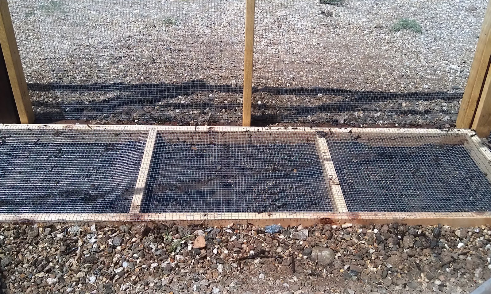 Backyard Chicken Lady ...thinking out loud: Making a Grazing Frame for ...