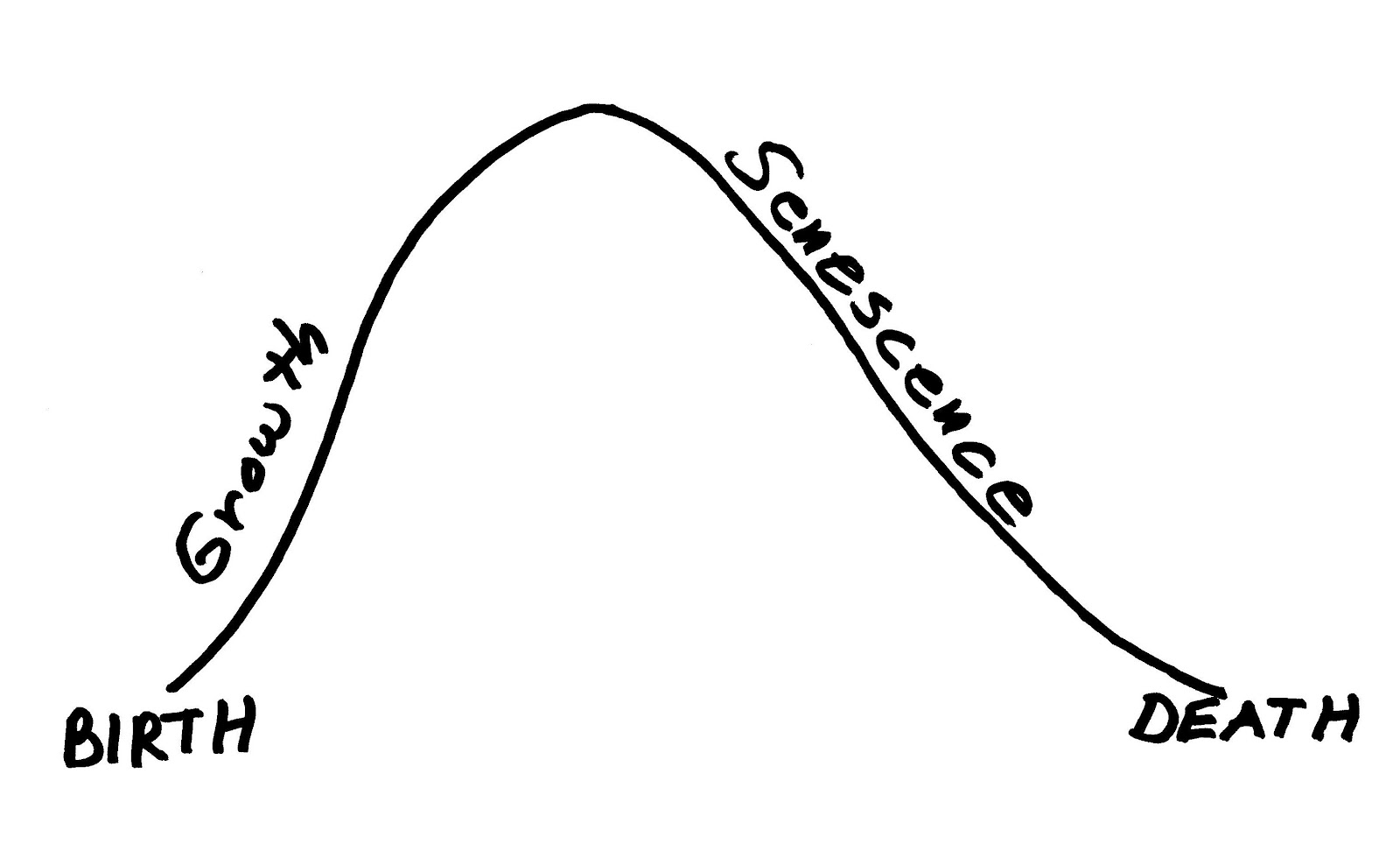 Pure Awareness: You can slow down the aging process