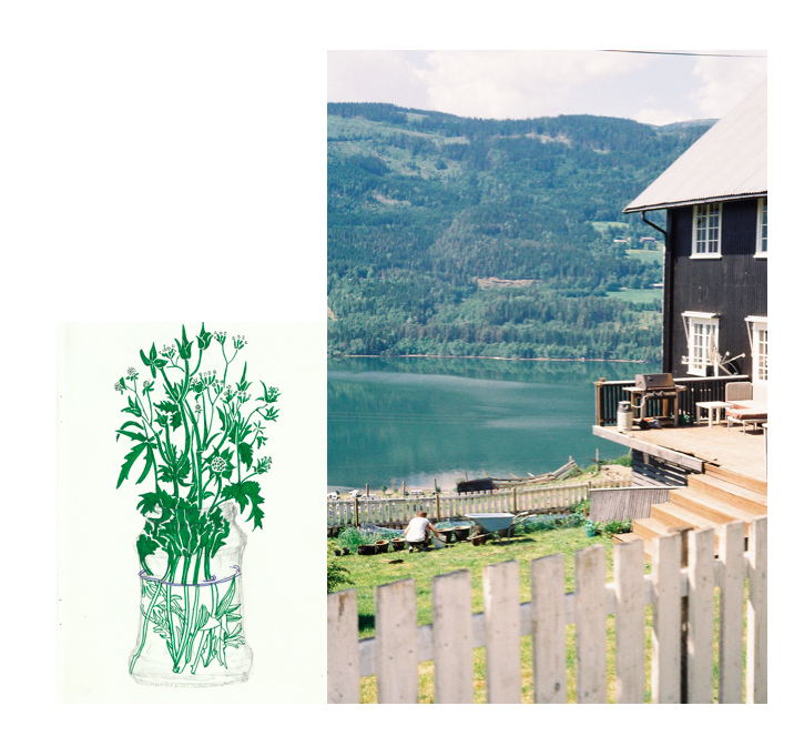 Dissolving Film: "isolation & infinity” by Zelda Solomon