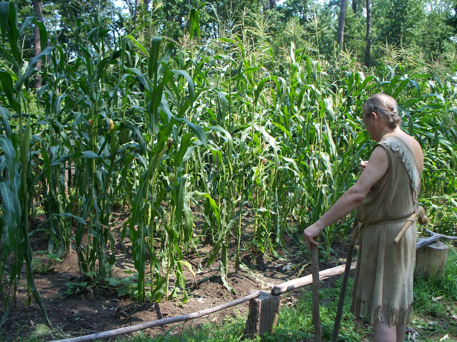 Koogle's Korner: Jamestown Settlement - Powhatan Indian Village