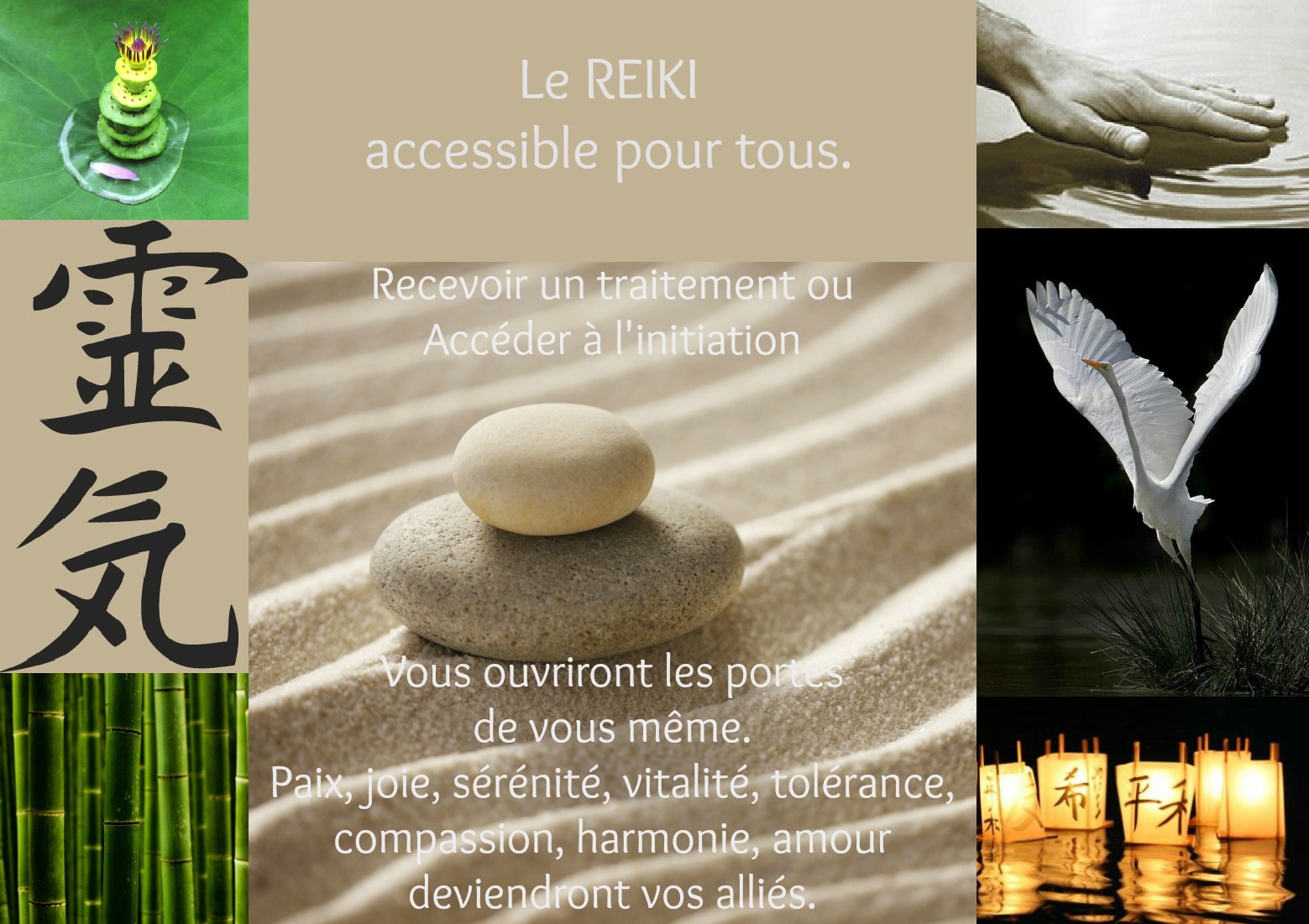 Saveurs et Expériences : Reiki, un Art de Vivre
