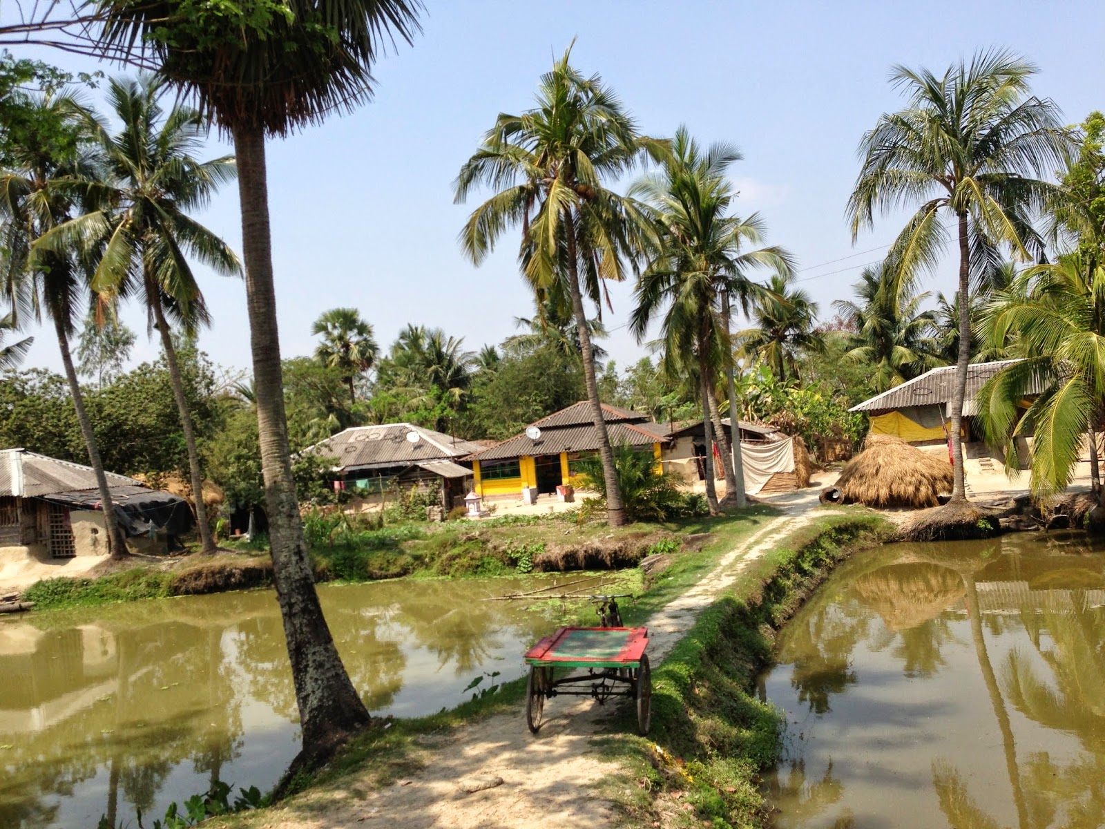Uvrshiva: Sunderban and the Elusive Bengal Tigers