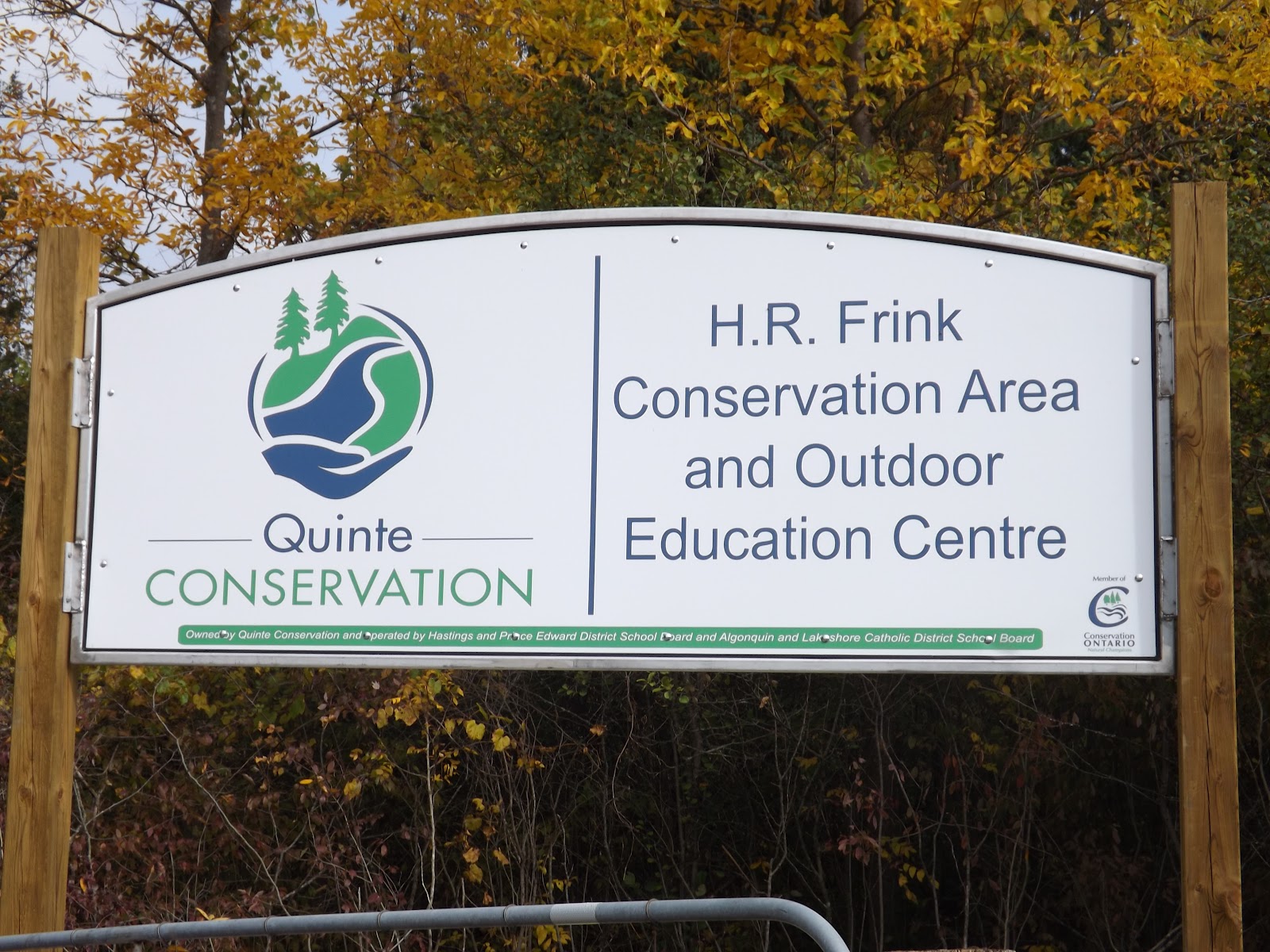 The Middle Aged Woman Who Lived in a Shoe: The Dreaded Frink Centre