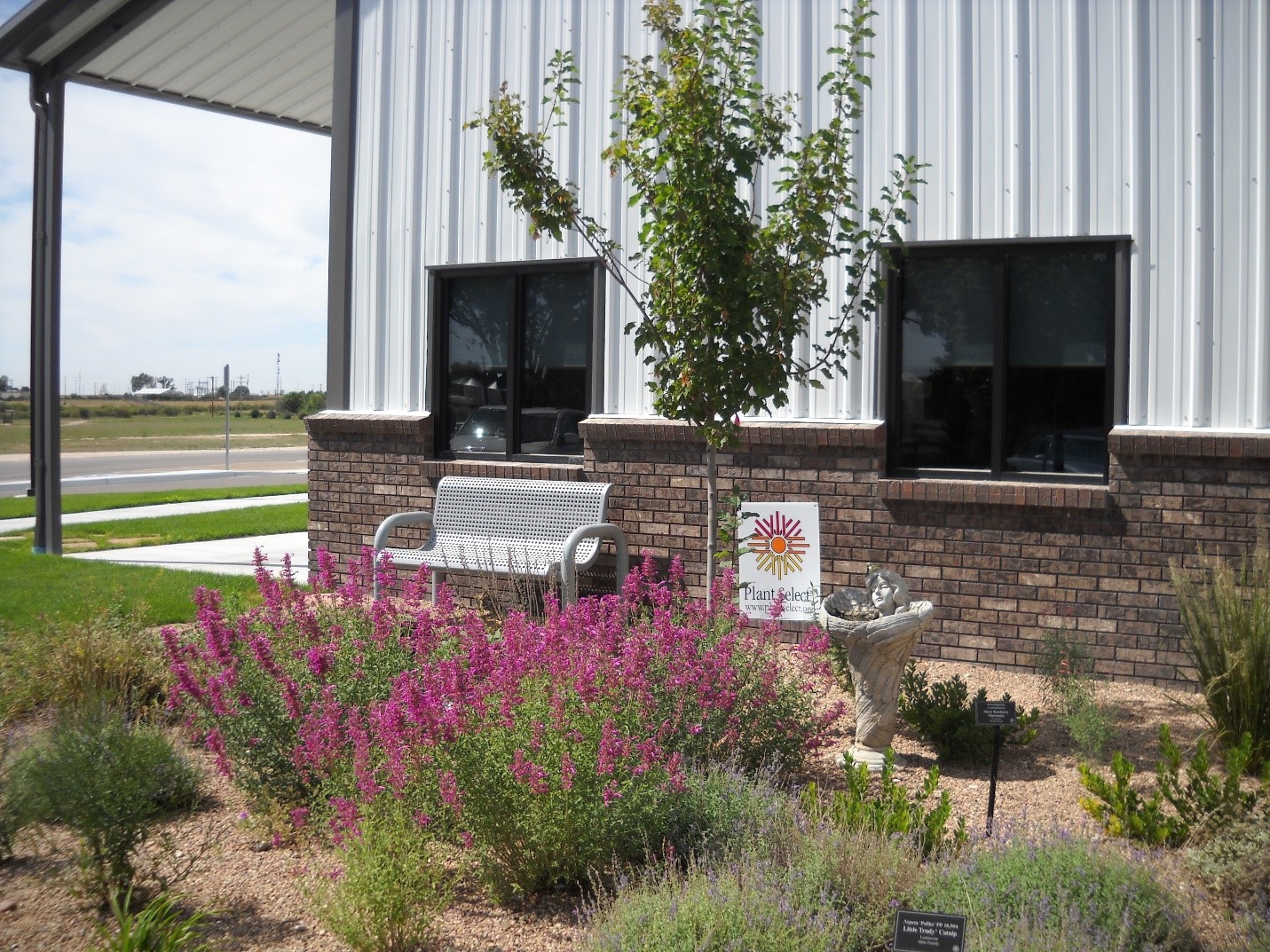 CO-Horts: My Favorite Plant Select Plants