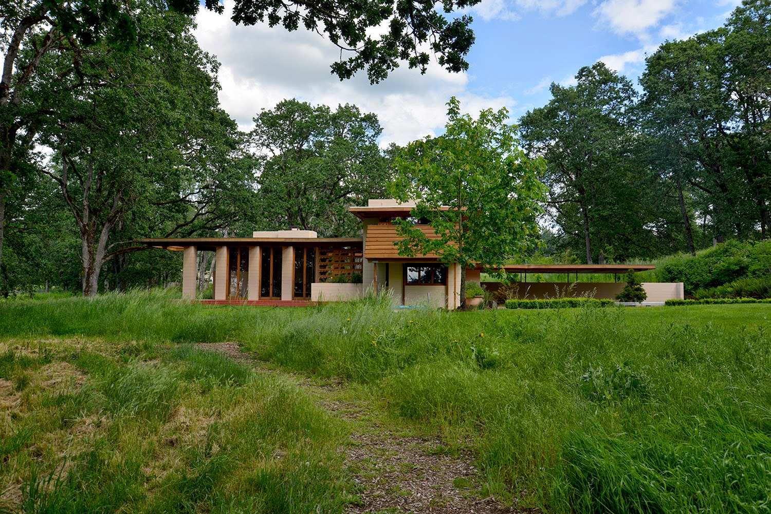 Oregon Garden and the Gordon House - light-in-leaves