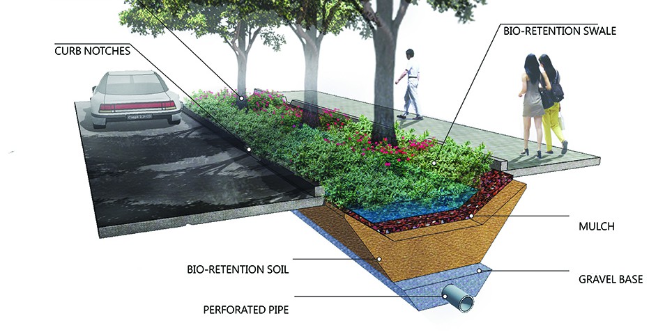 Bioswales: How They Help Us