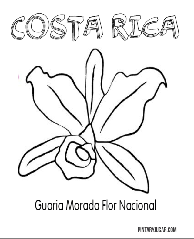 Colorear Símbolos Nacionales de Costa Rica - colorear tus dibujos