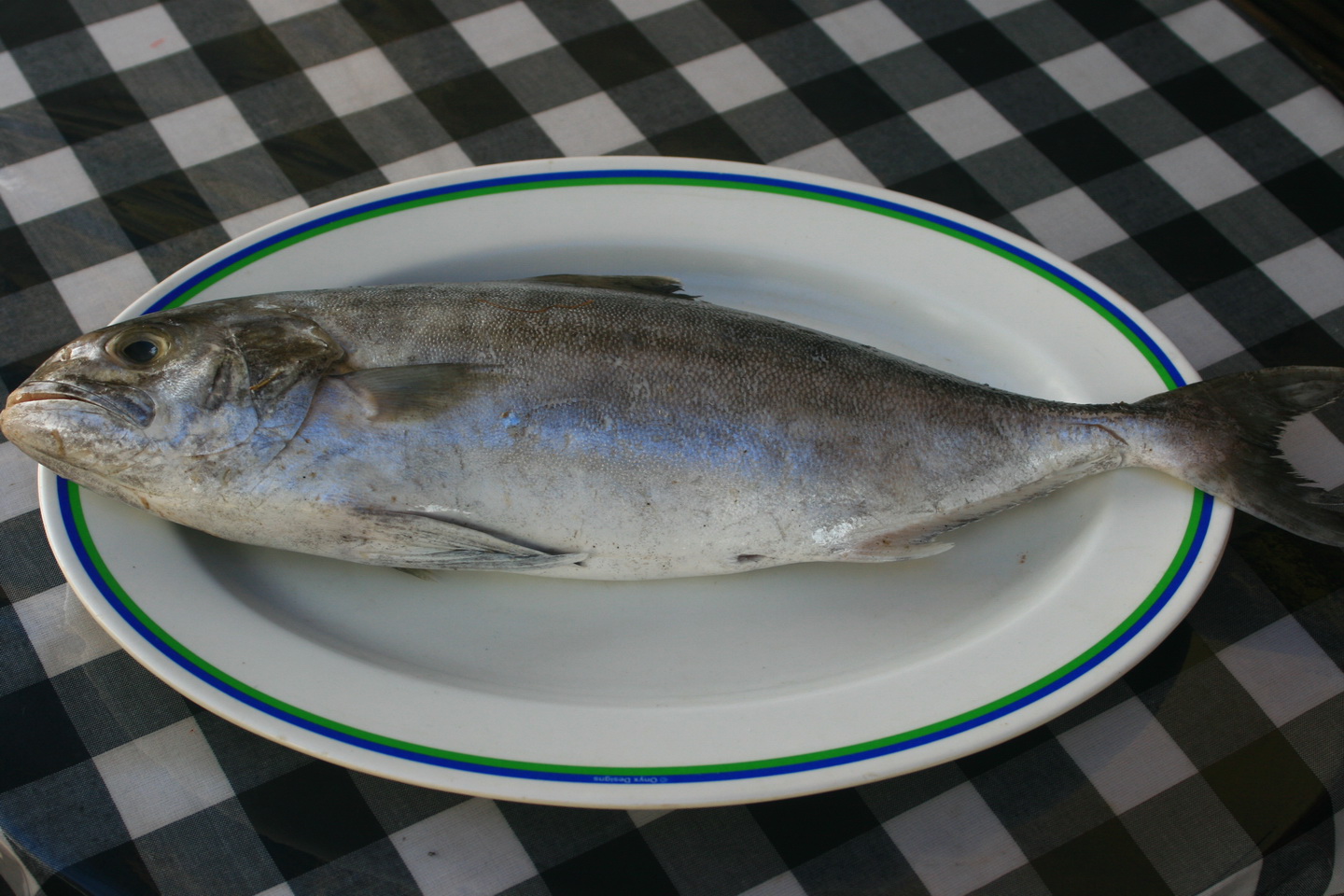 restoran tegal: Ikan Patikoli