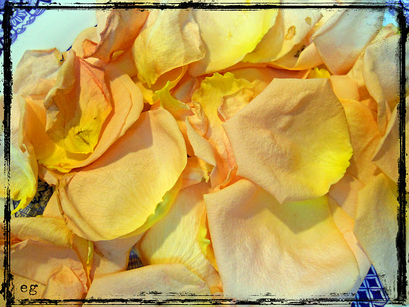 The Last Door Down The Hall Drying Flowers In The Microwave the-last-door-down-the-hall-drying-flowers-in-the-microwave