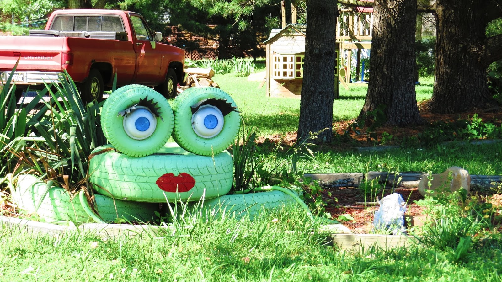 Let Your Light Shine: Lady Tire Frog