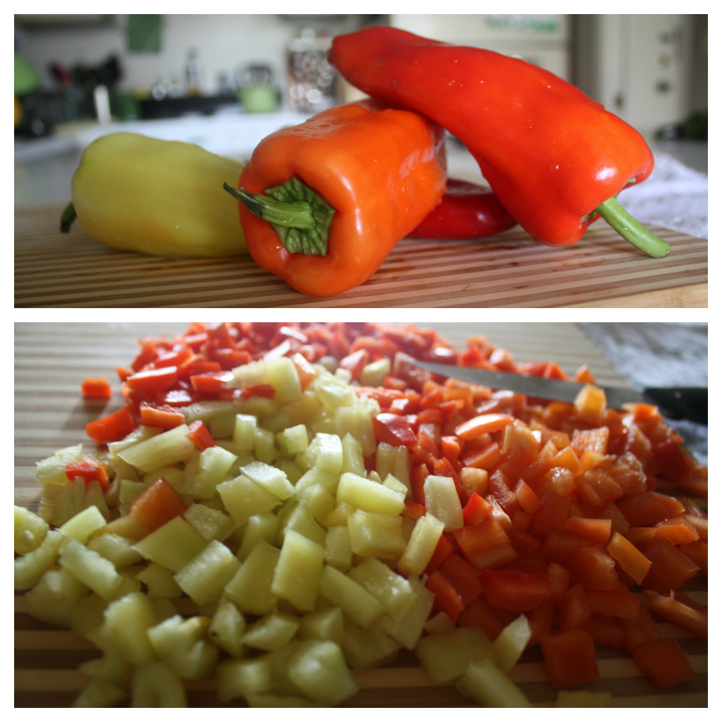 a.b.daisy: Fresh Summer Salsa