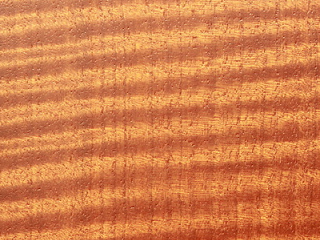 I Note My Life.: 植物雜記 - 樂器木材(Tonewood) - 馬寇瑞木(Makore) - 擁有極致斑紋的異國木材