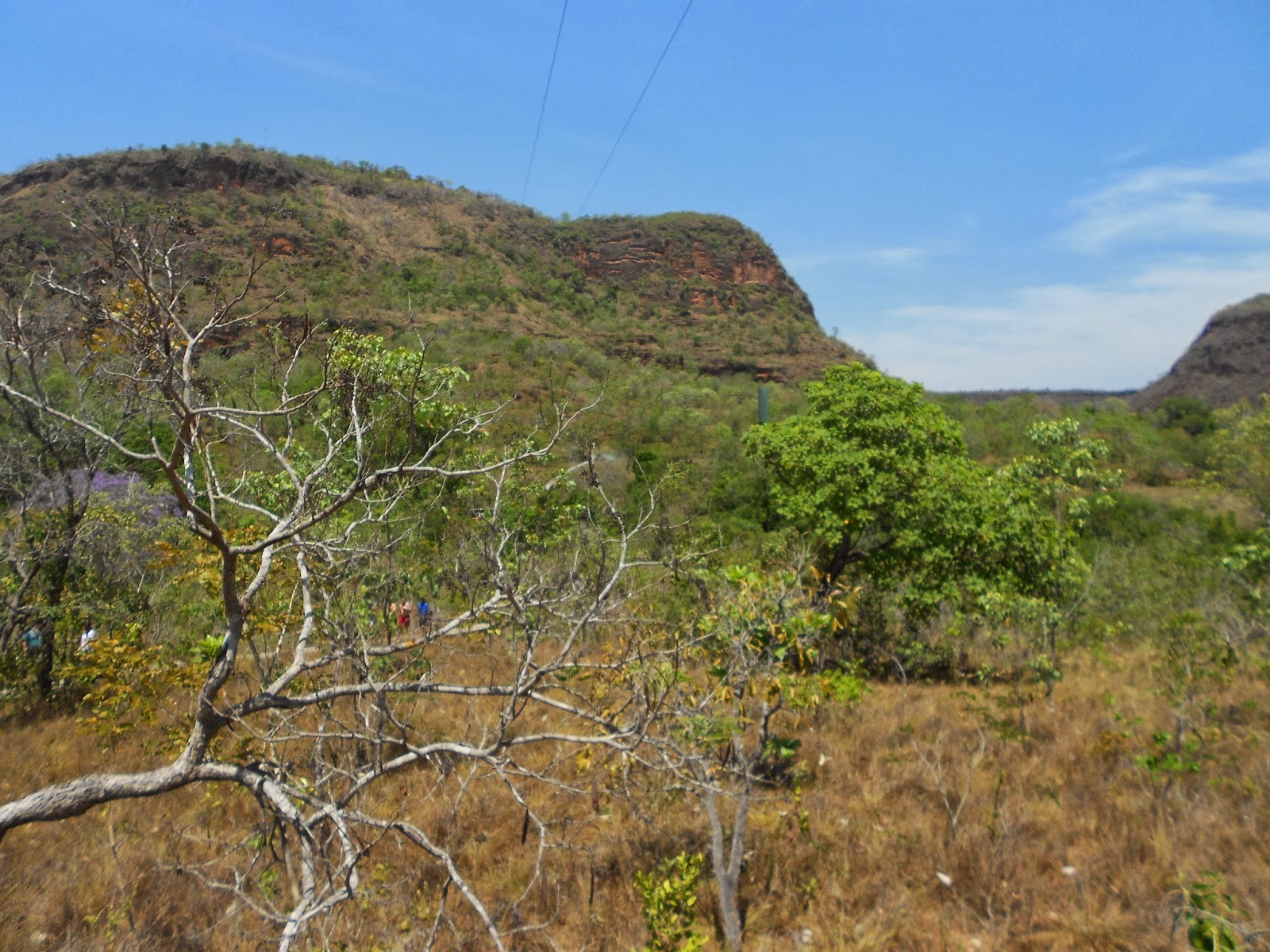 Questões Ambientais..: BIOMA-CERRADO