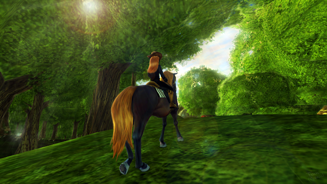 Końska Tapety #7 - The Star Stable Wold