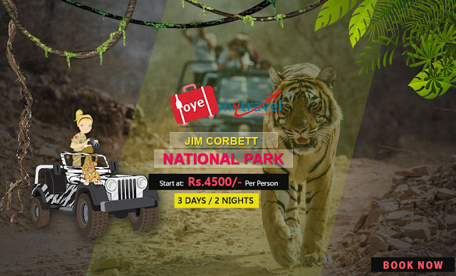Witness Rousing Wildlife of Jim Corbett at Low Corbett Tour Package ...