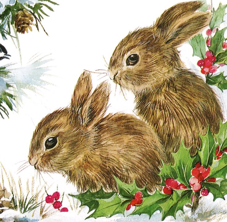 AGING DISGRACEFULLY: Rabbit Rabbit! OMG! It's December!