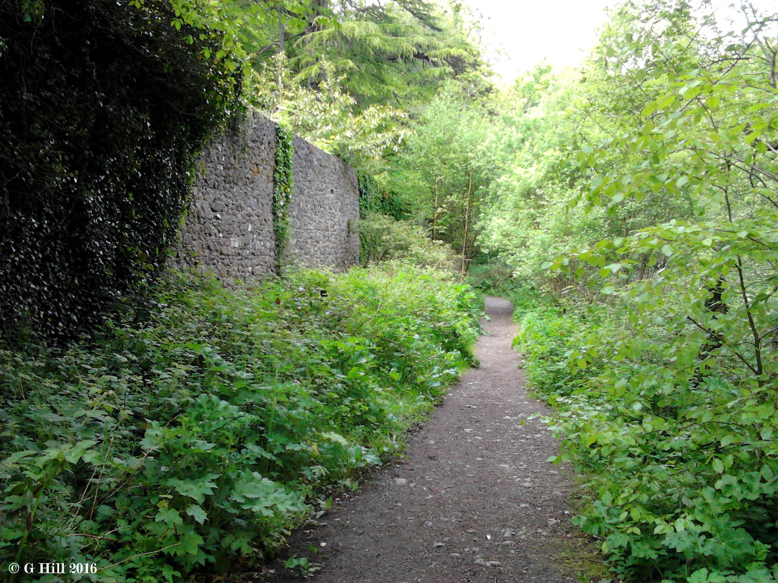Ireland In Ruins: Massy's Wood Estate Co Dublin