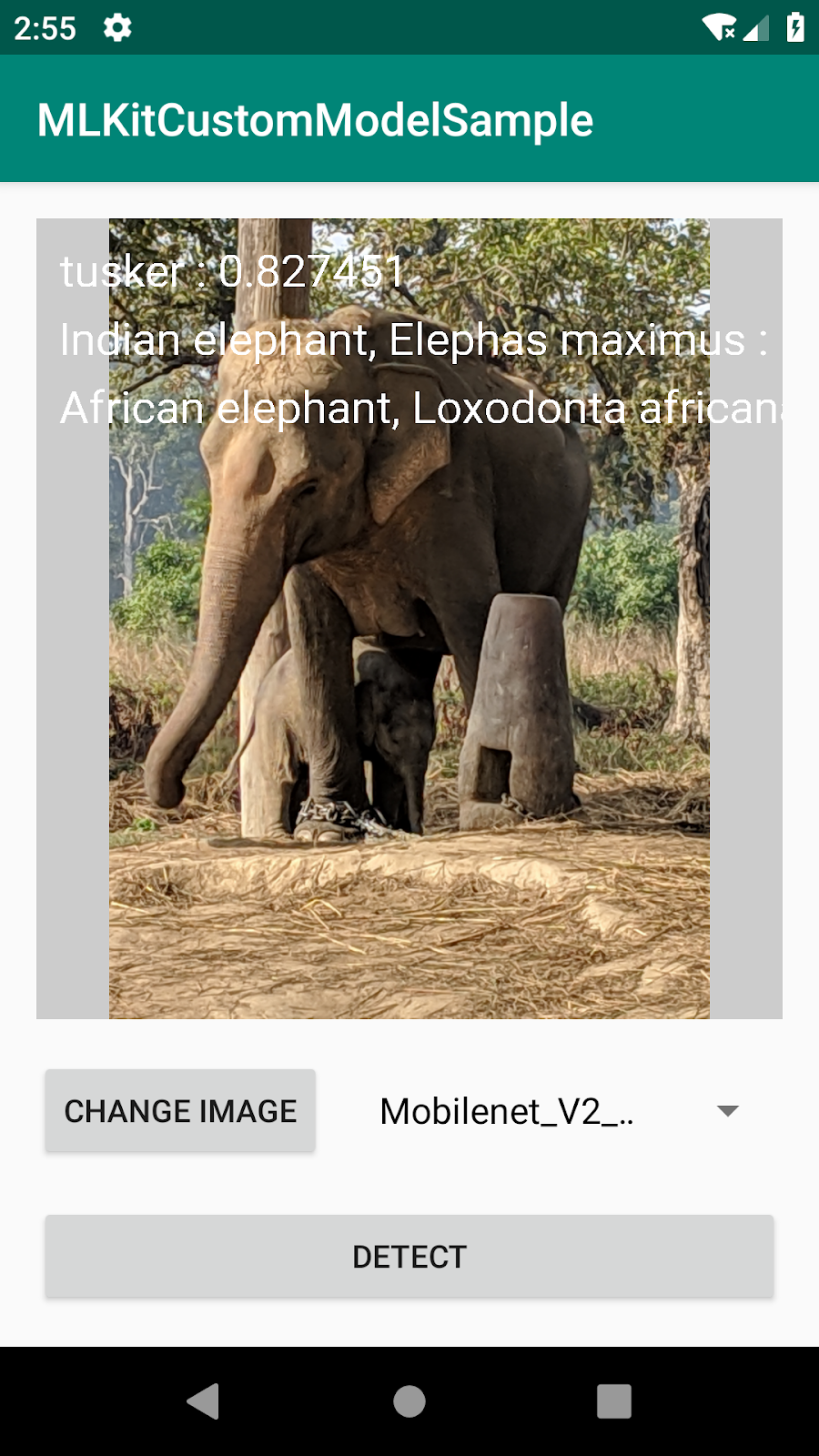 Y.A.M の 雑記帳: ML Kit Custom Model その5 : Inception_V1_quant を使う