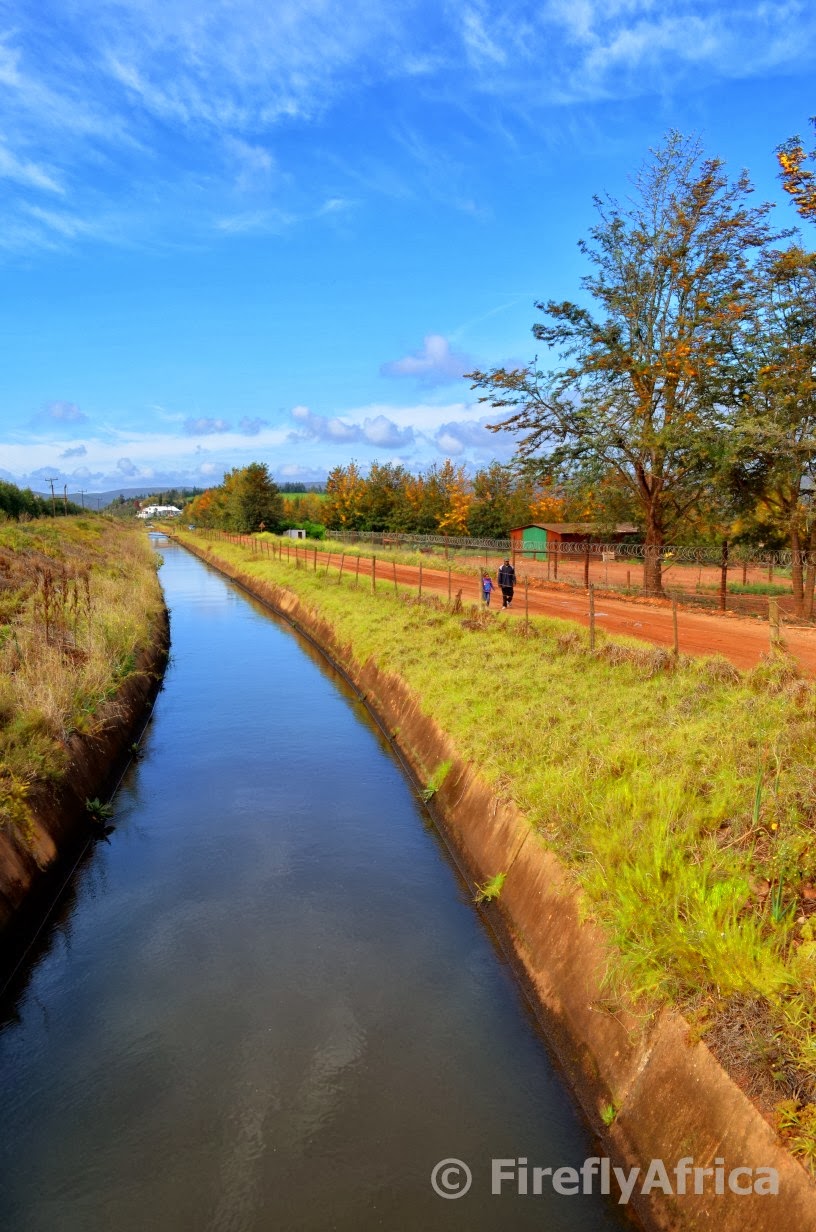Port Elizabeth Daily Photo: Gamtoos Series 2 - water canals