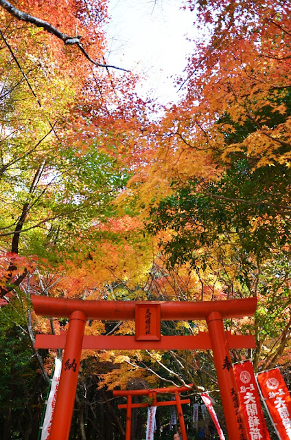 Endless Traveling Map: 7 Places to See Autumn Leaves in Kyushu, Japan