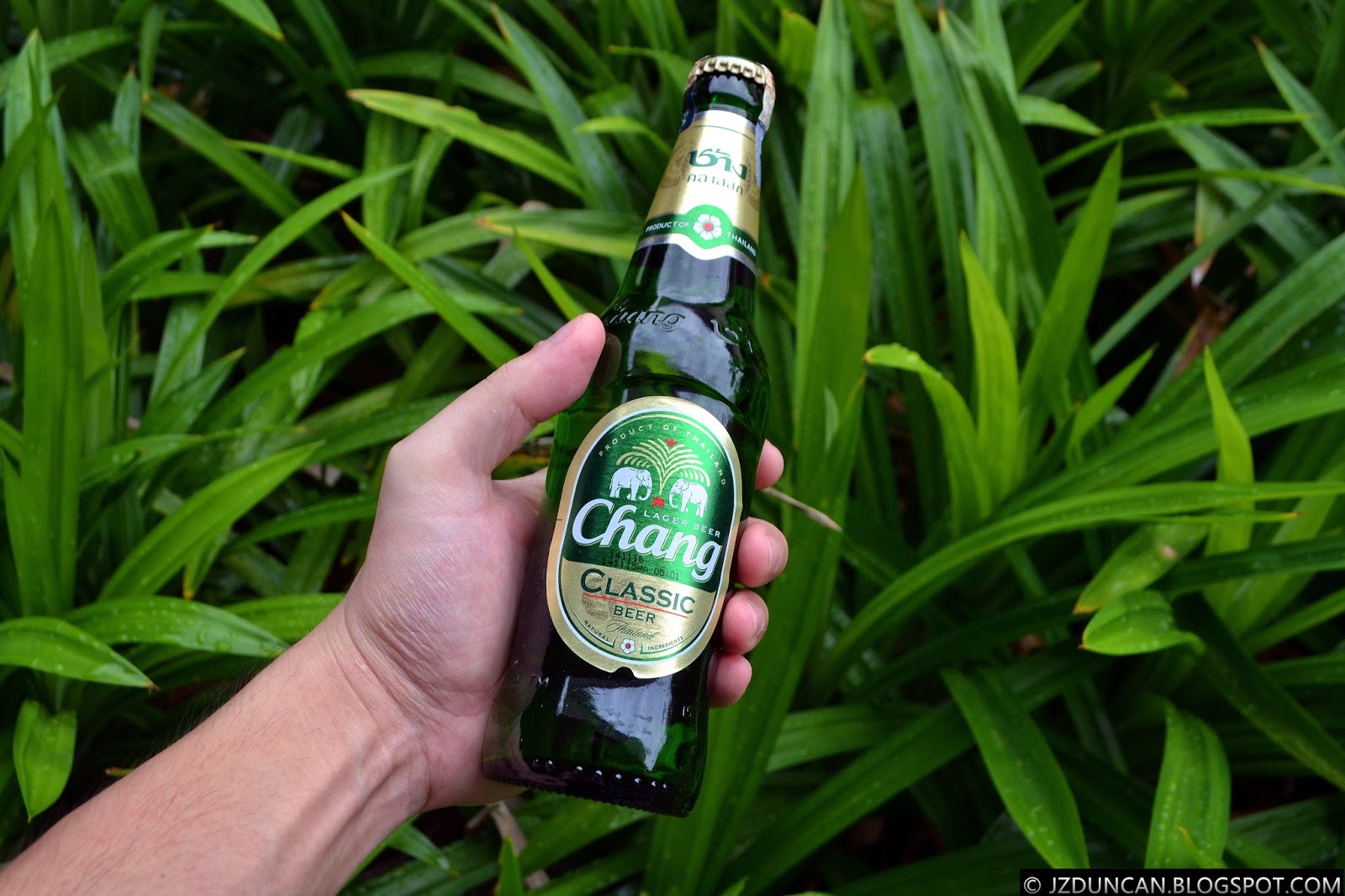 Eat Well Travel On_: Chang Beer New Green Bottle, Smooth, Elegant, Now ...