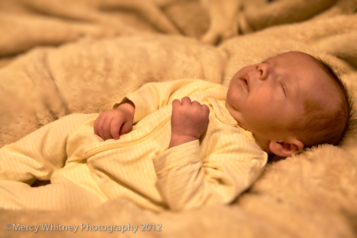 The Photographer's Journey... By Mercy Whitney Photography