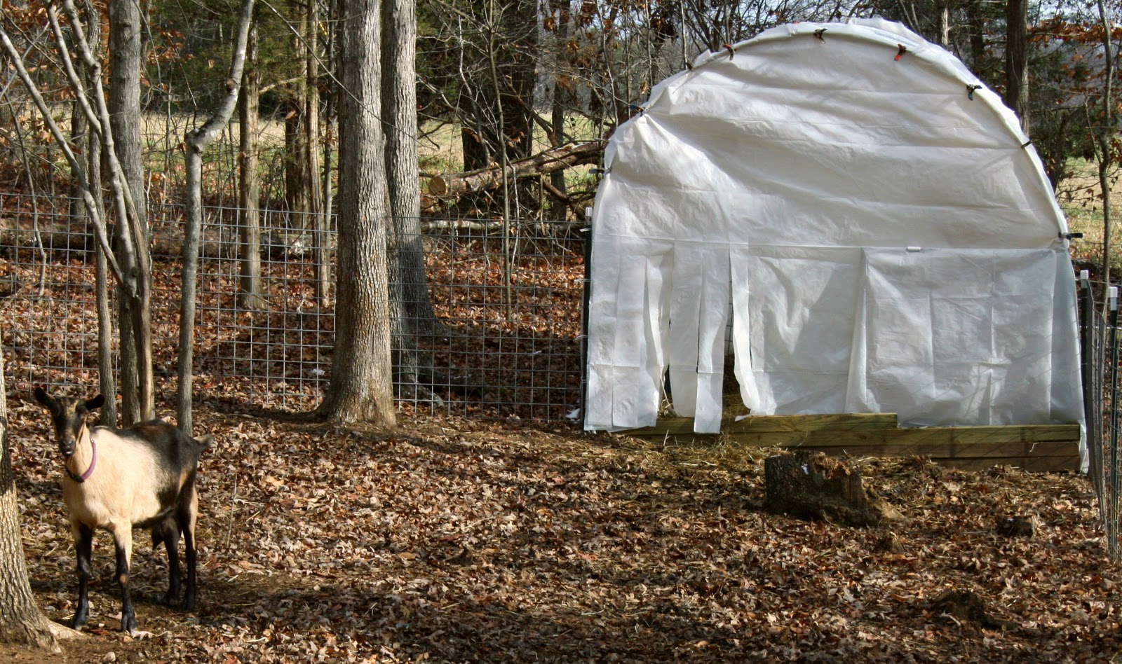 A Tiny Homestead: Cattle Panel Structures and Snow Loads