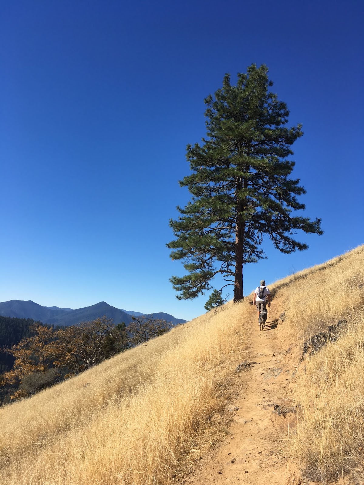 Everything Oregon (and Beyond): Applegate Ridge Trail (ART) East