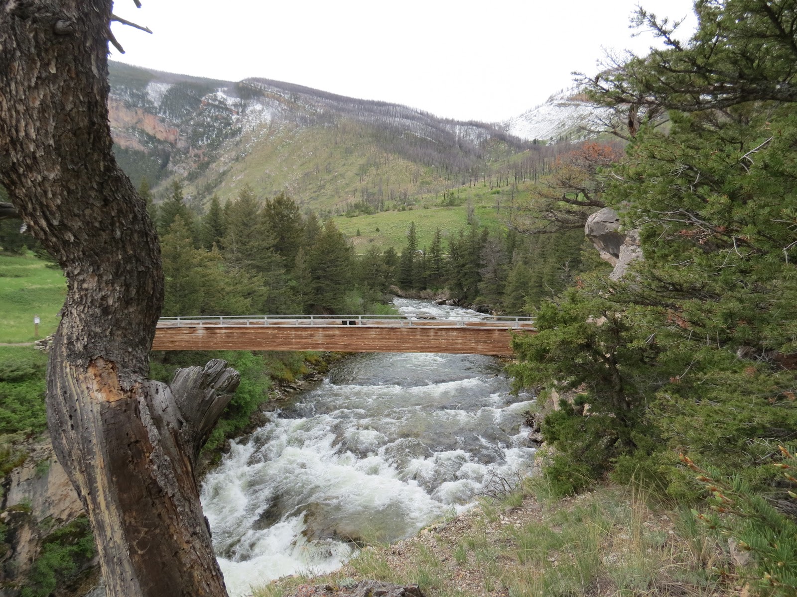 Where's Liz-2012?: Big Timber, Montana