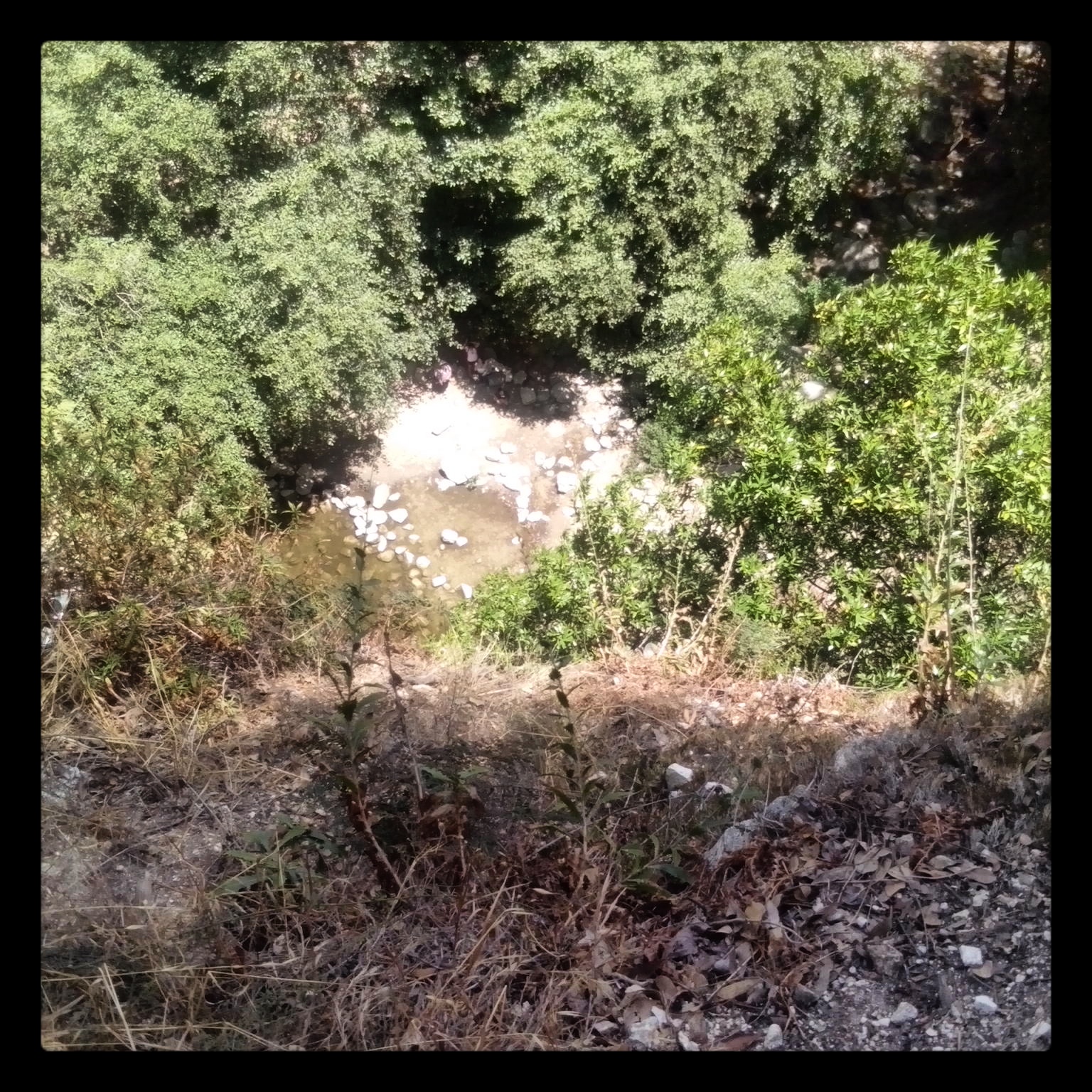 The KtKronicles: Friday Hike Day: Sturtevant Falls, Top of the Falls Trail