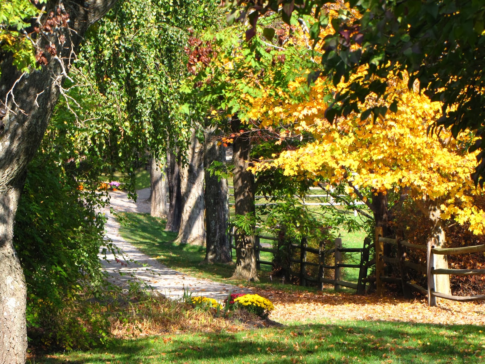 A Perfect Country Wedding: Congrats and Thank you!
