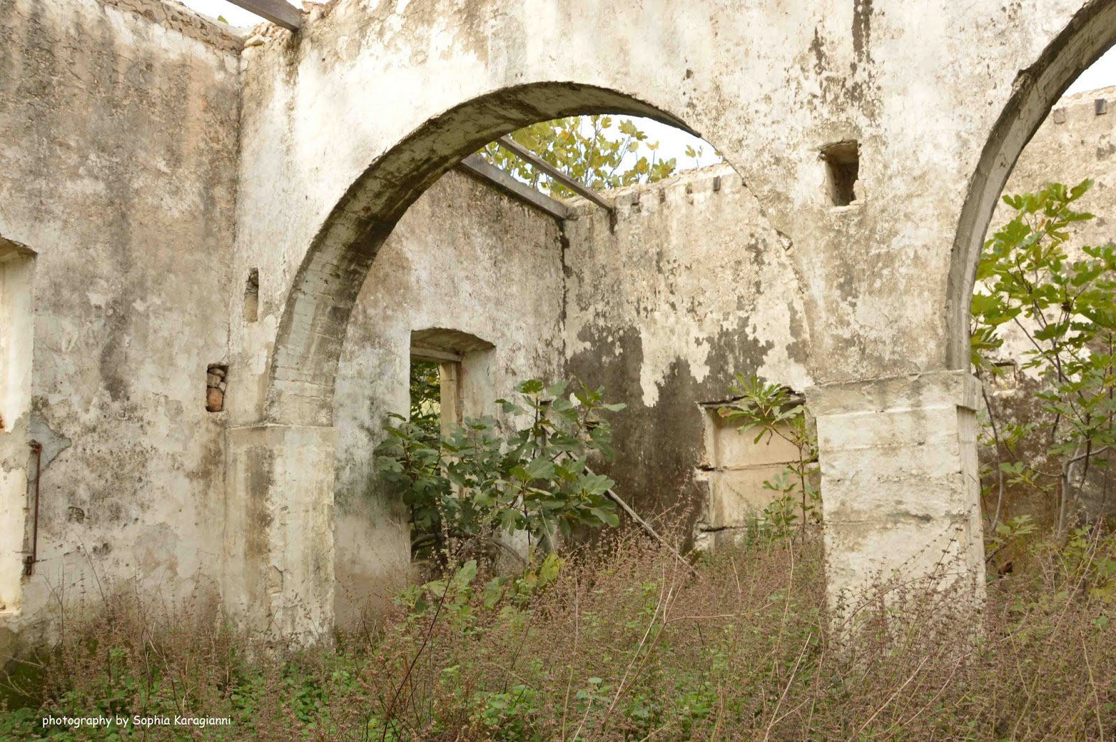 Kos and the Dodecanese through my eyes-Η Κως και τα γύρω νησιά μέσα από ...